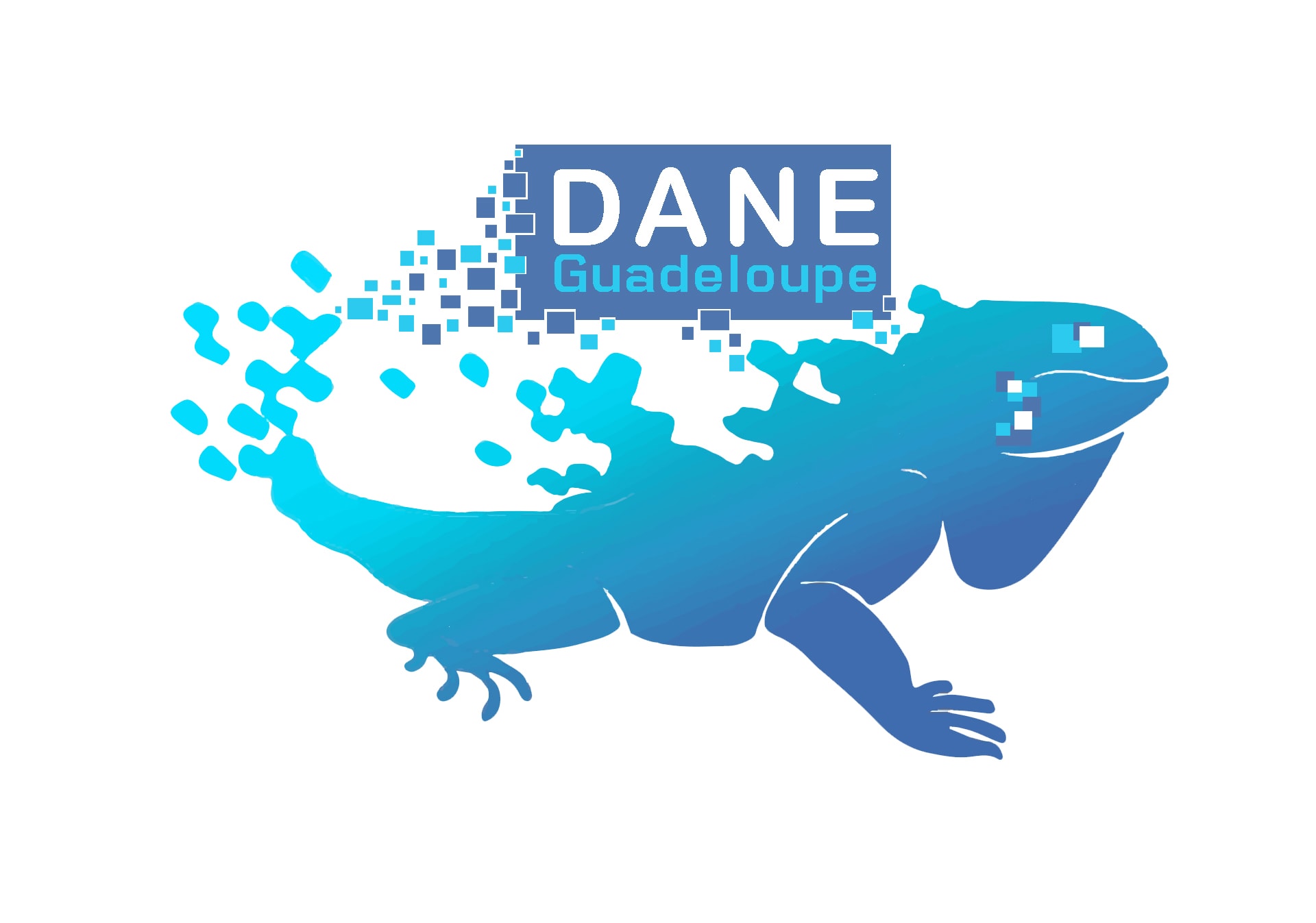 XR PEDAGOGY - Development of VR AR experiences for education