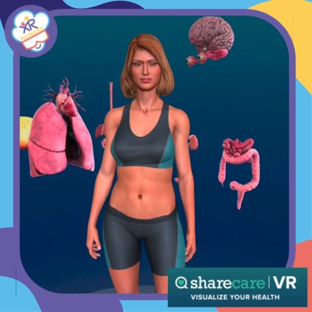 ShareCare VR: freely explore anatomy in VR - XR PEDAGOGY